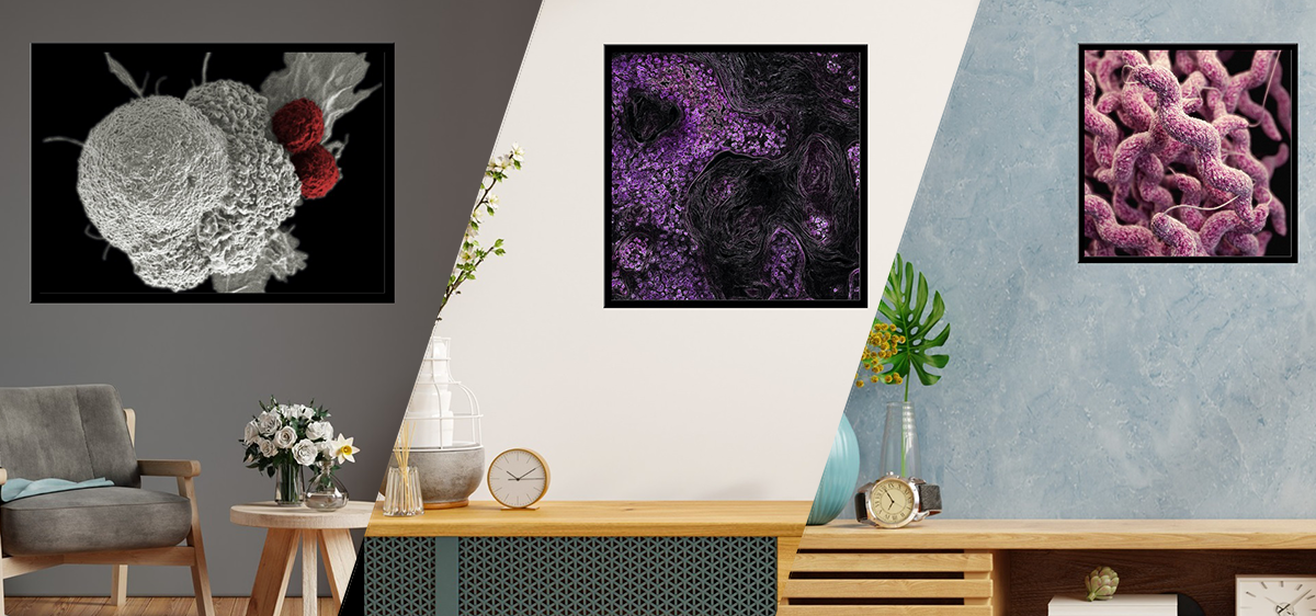 Art inspired by science | Museum-quality framed prints